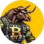 BTC Bull (BTCBULL) - Price, Charts and Market Cap | CoinMun